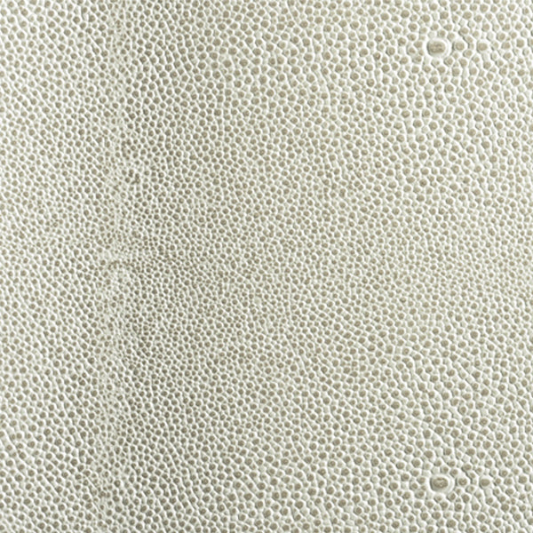 Grey Stone Shagreen Leather Insert Sample